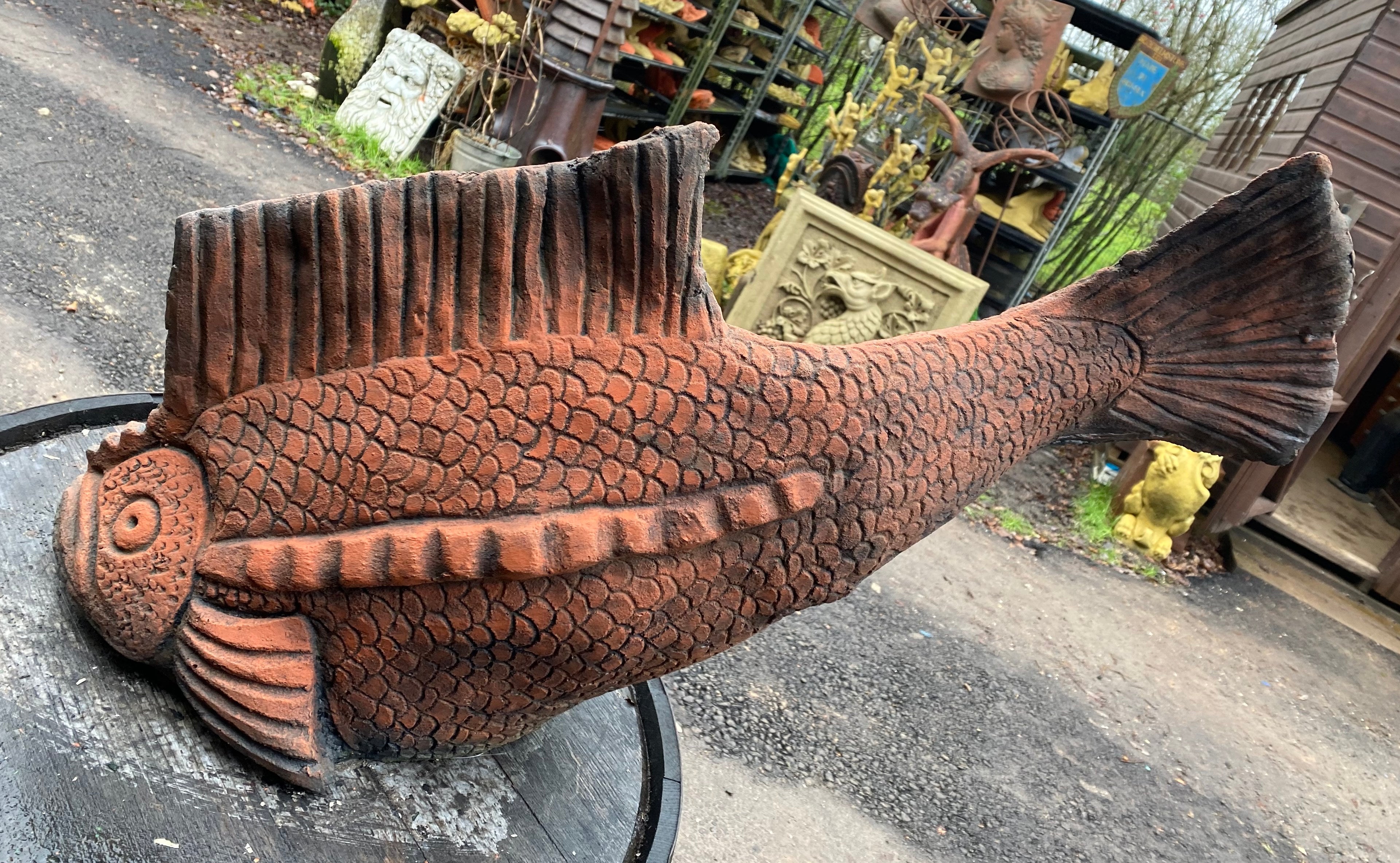 Large Carp Fish – BrighthelmStone